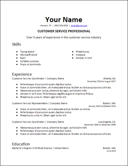 Job Specific Professional Summary Google Docs Resume Template