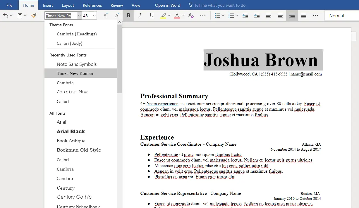Microsoft Word Resume Templates Free To Download