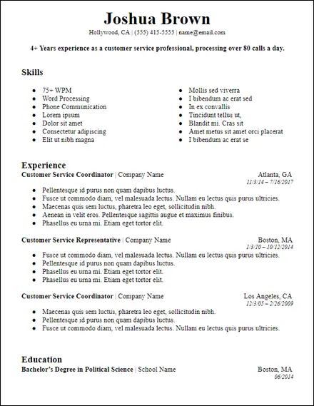 Bolded Professional Summary Microsoft Word Resume Template