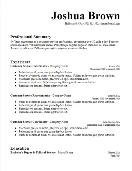 Long Professional Summary Resume