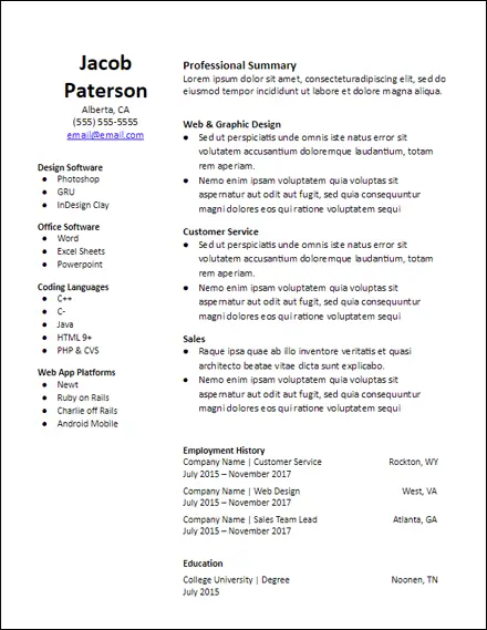 2 Column Functional Google Docs Resume Template HirePowers